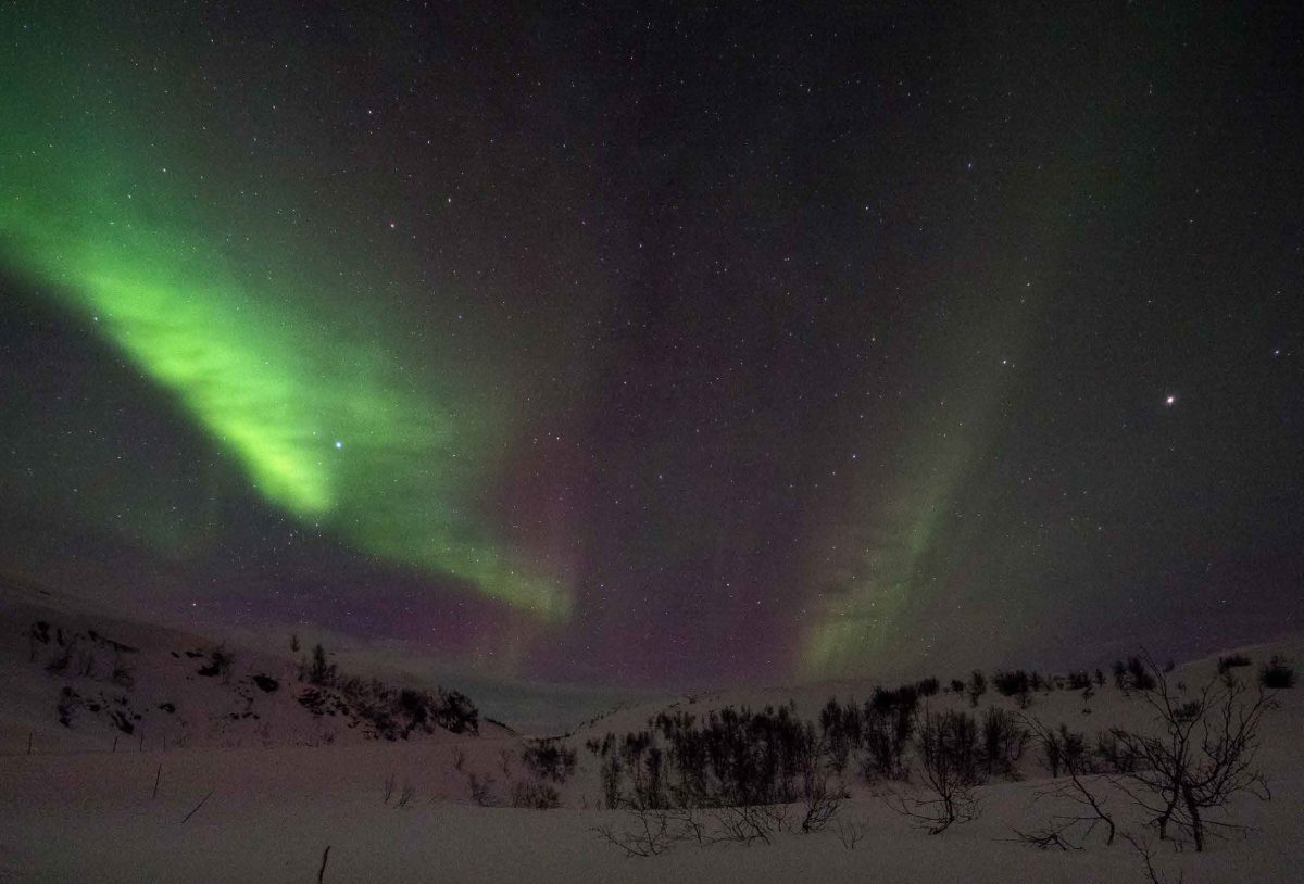 The Magic of the Night – Daylight and Architecture