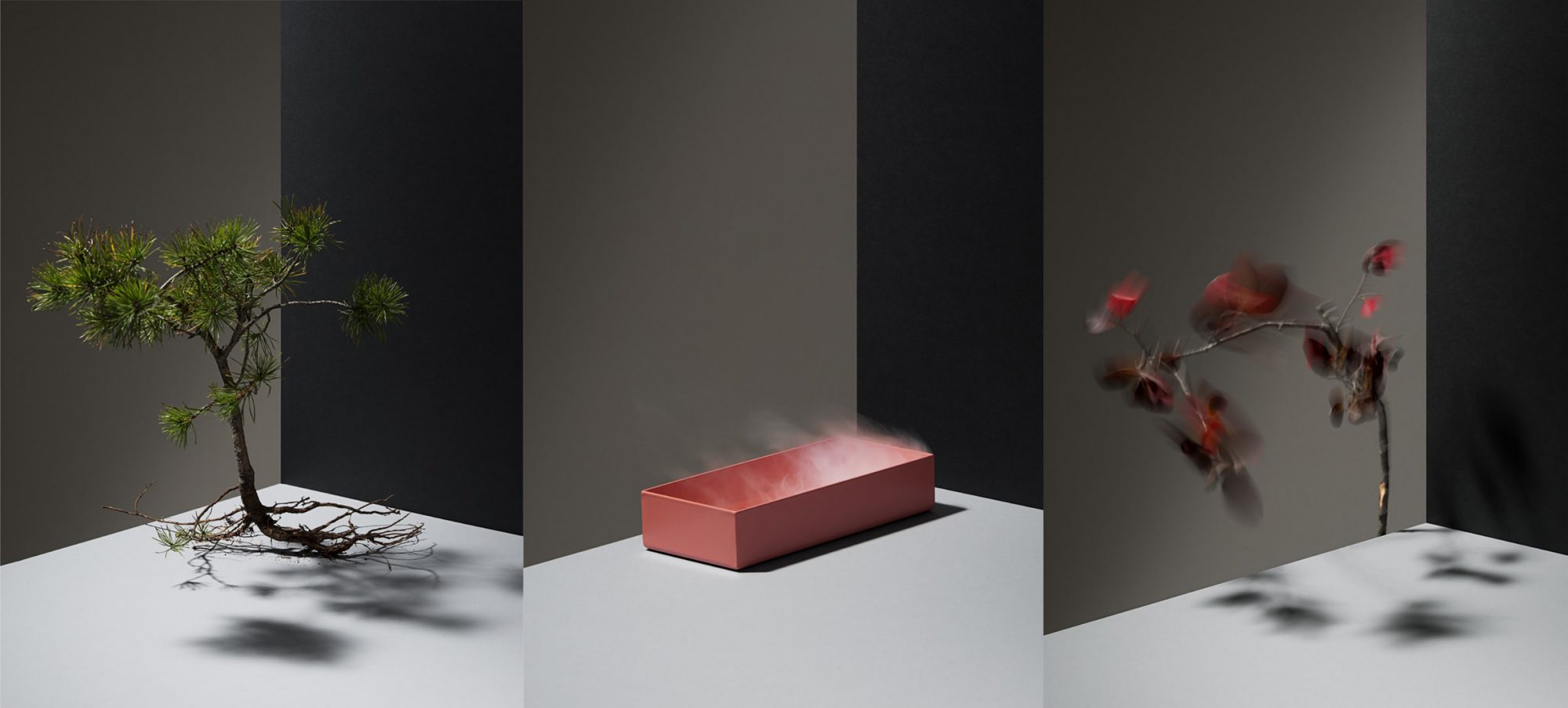 Architecture for Well-being and Health – Daylight and Architecture