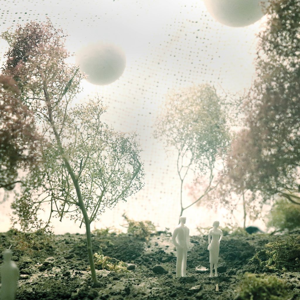 Reviving the Desert – Meet the Winners from Western Europe Daylight ...