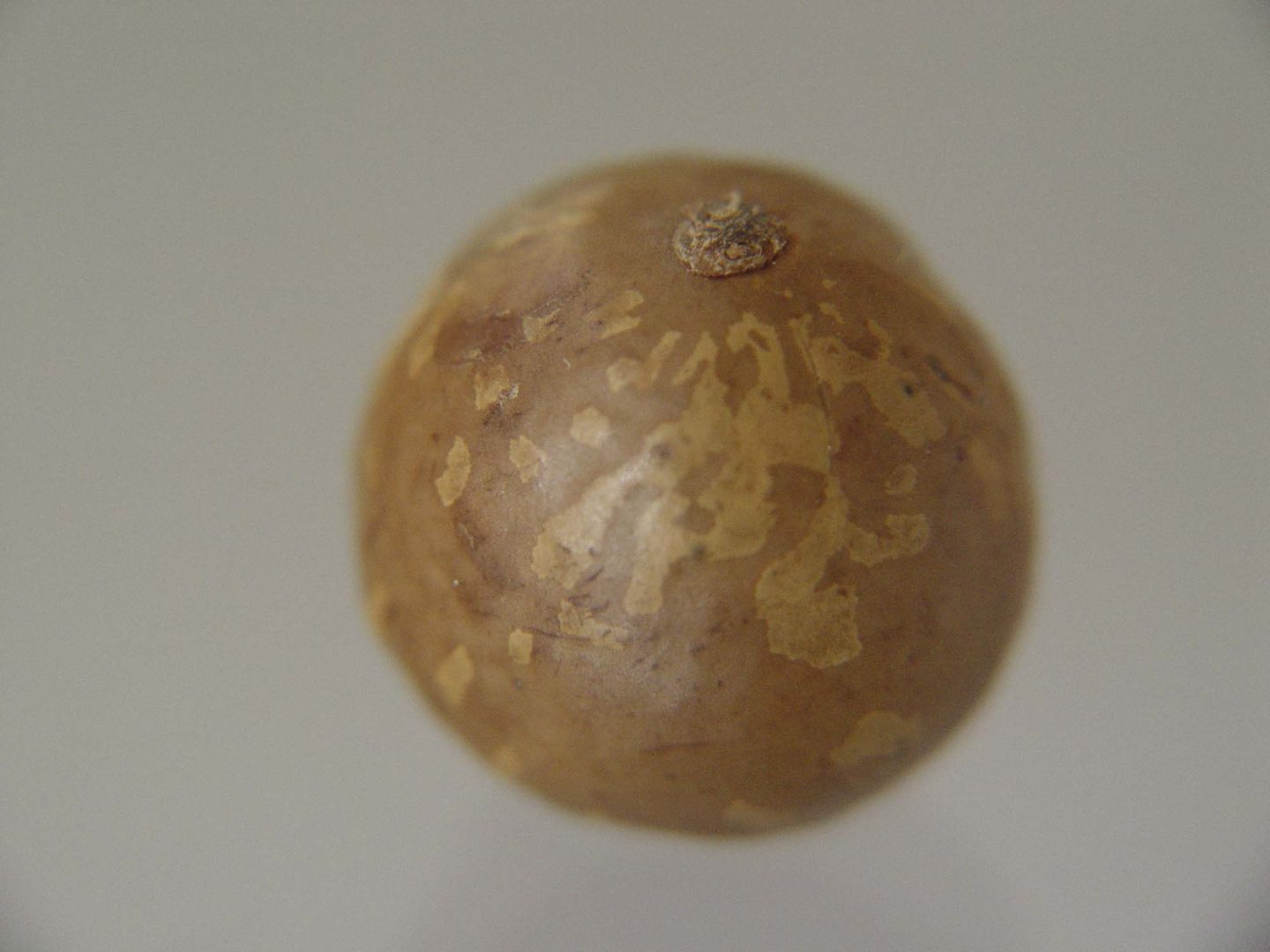 Natural Surfaces – Daylight and Architecture