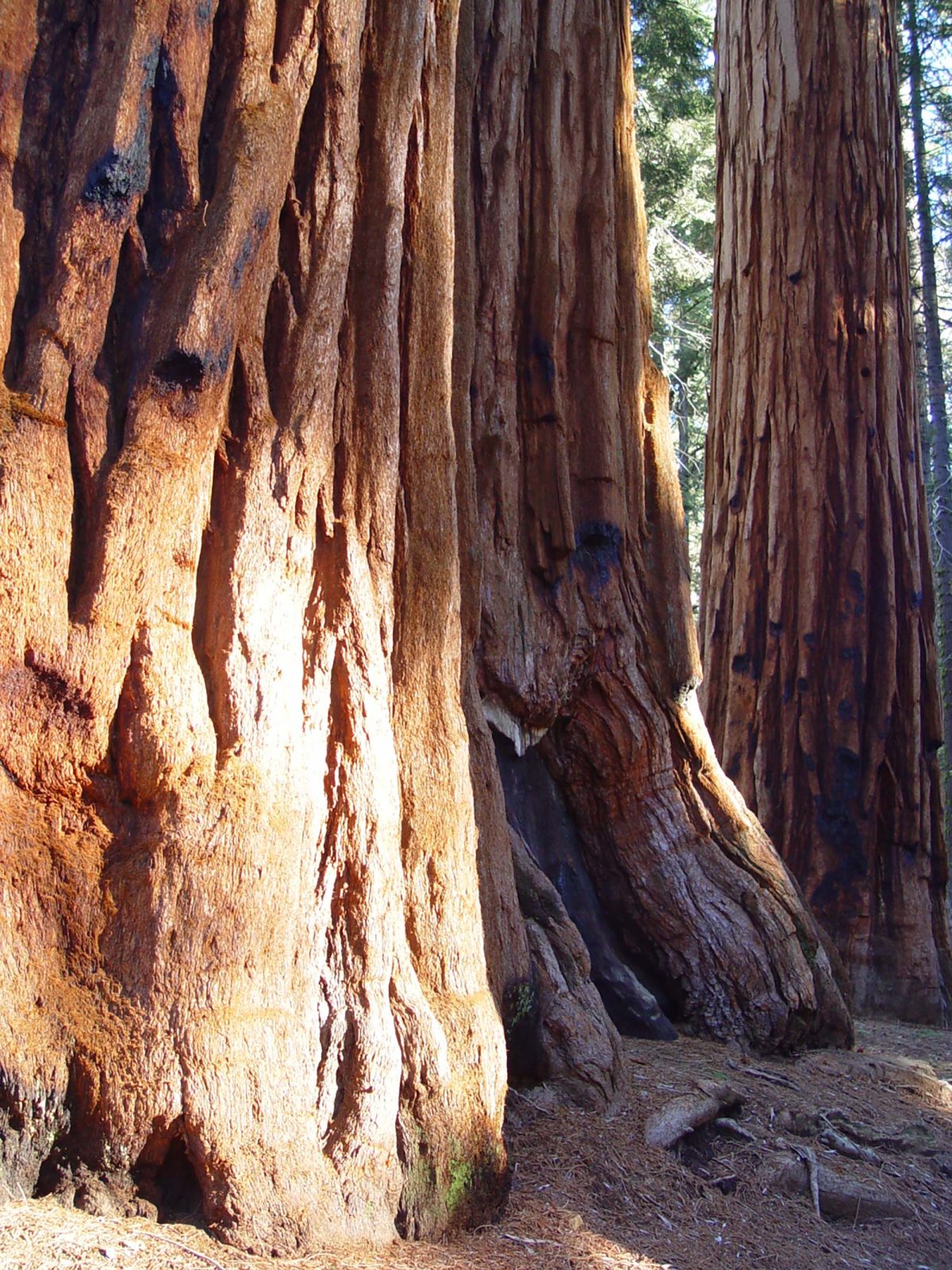 Natural Surfaces – Daylight and Architecture