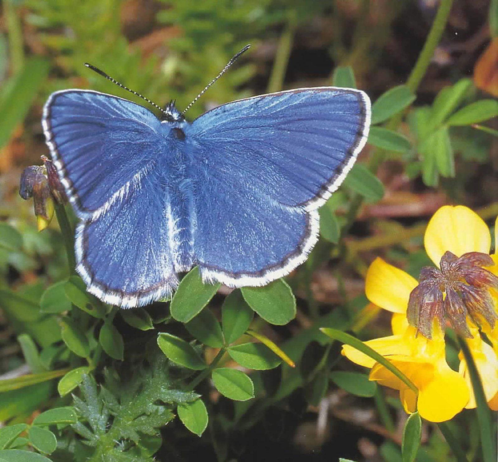 Natural Surfaces – Daylight and Architecture