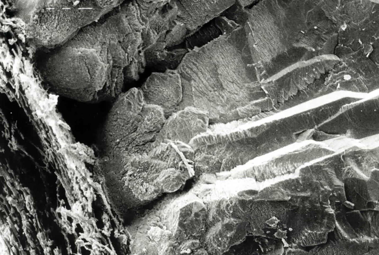 Natural Surfaces – Daylight and Architecture