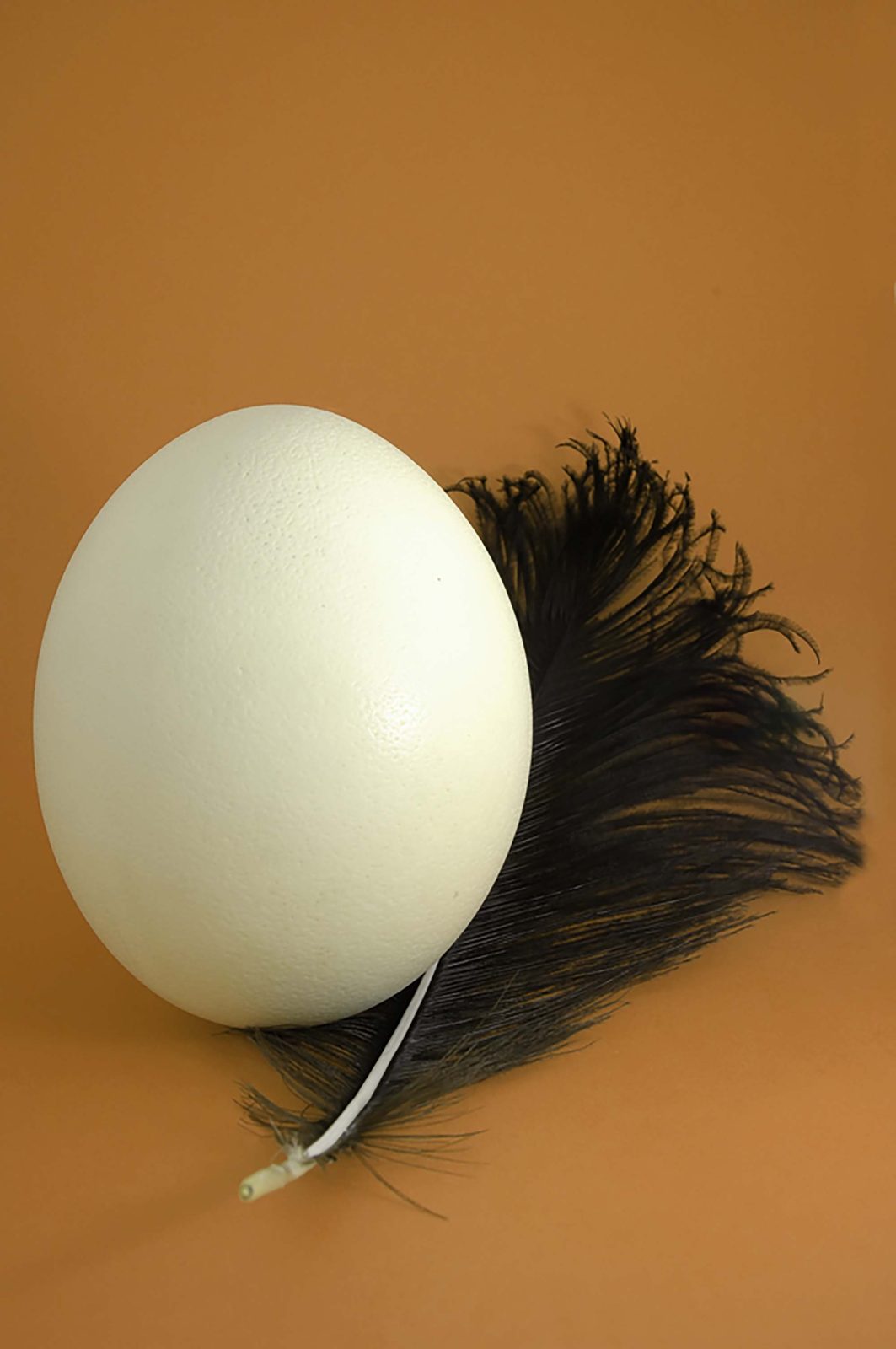 Natural Surfaces – Daylight and Architecture