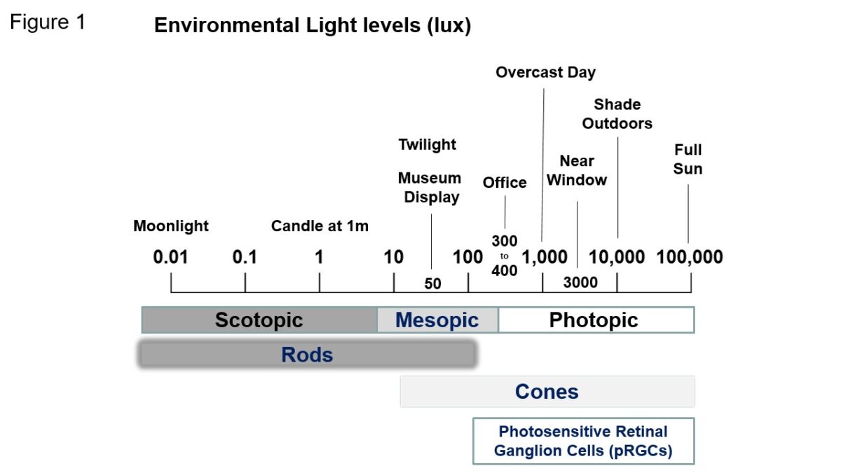 Sleep, Light, Architecture: The Importance of Light for Human Circadian ...