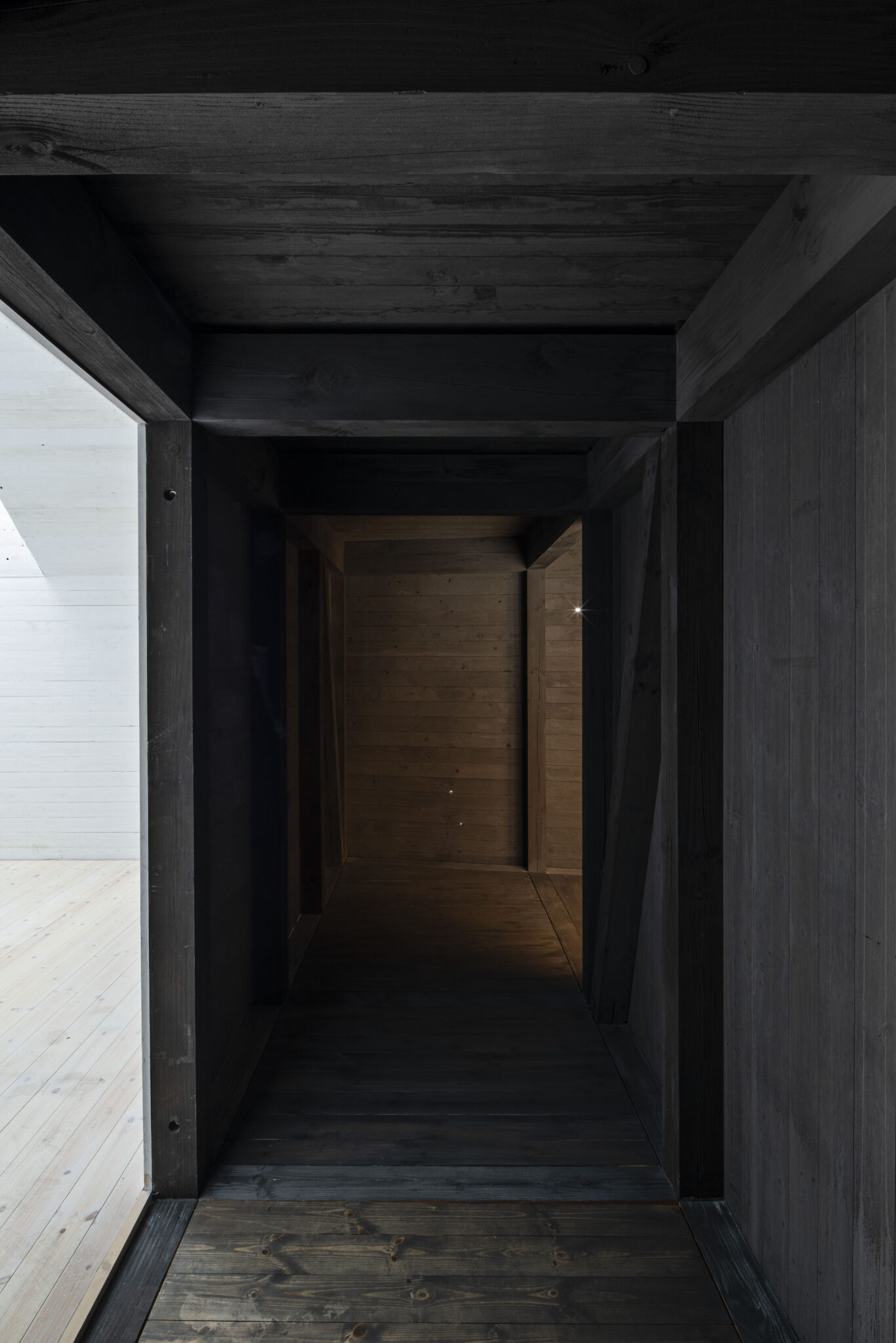 Poetic Daylight Pavilion – Daylight and Architecture