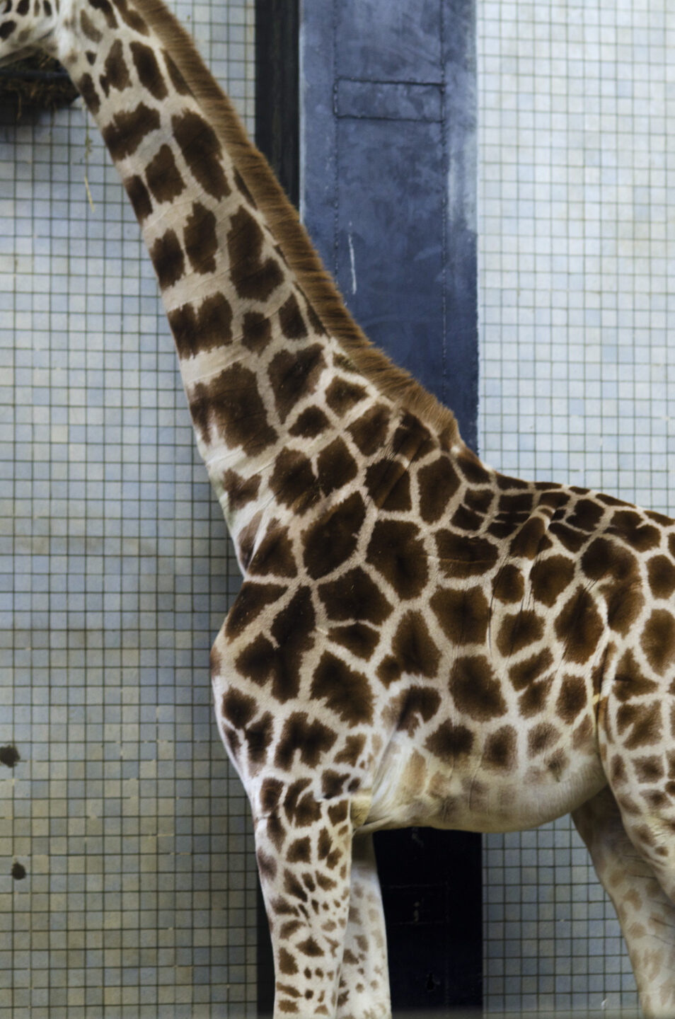 The experience of daylight – Daylight and Architecture