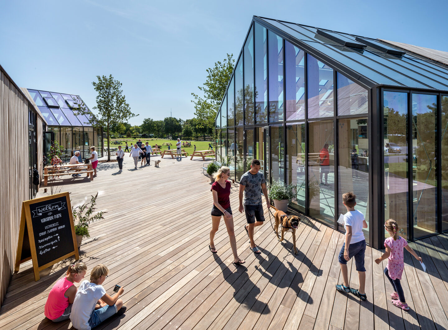 Transitional Society: A Delicate Balancing Act – A Daylight Talk by ...