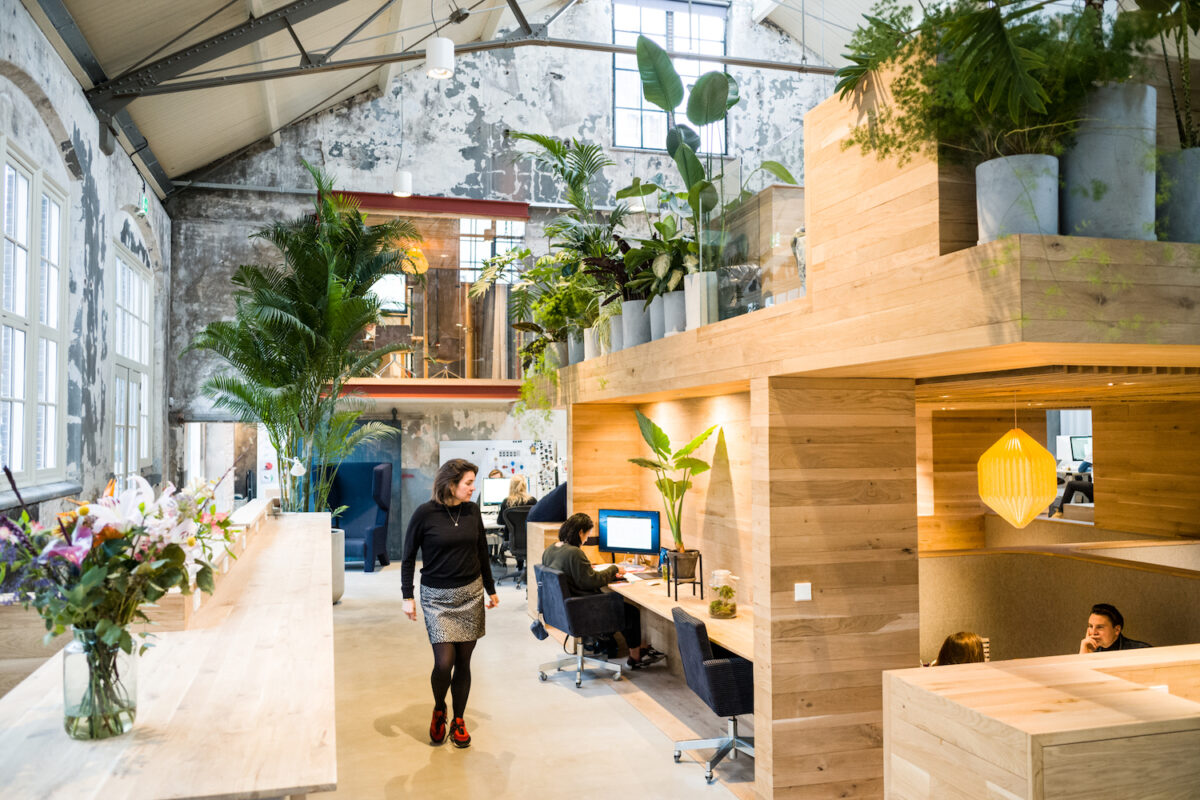 Transitional Society: A Delicate Balancing Act – A Daylight Talk by ...