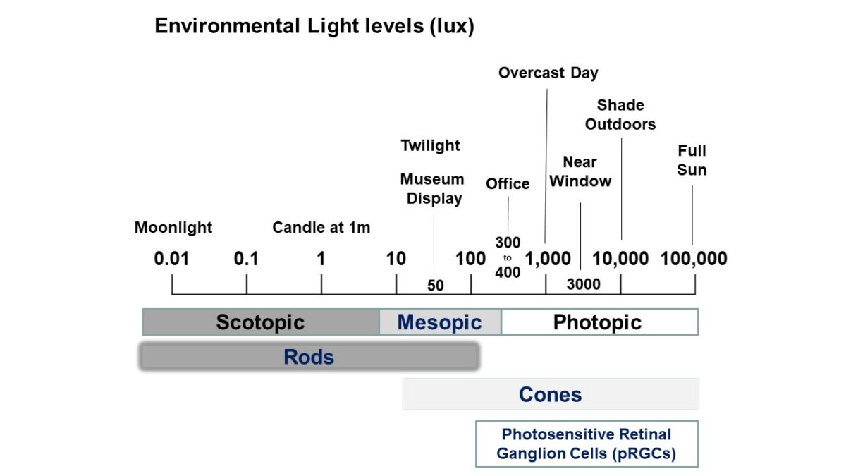 The Daylight Award celebrates daylight in research and architecture ...