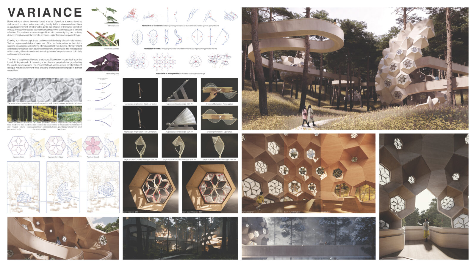 2024 – Variance – Daylight and Architecture