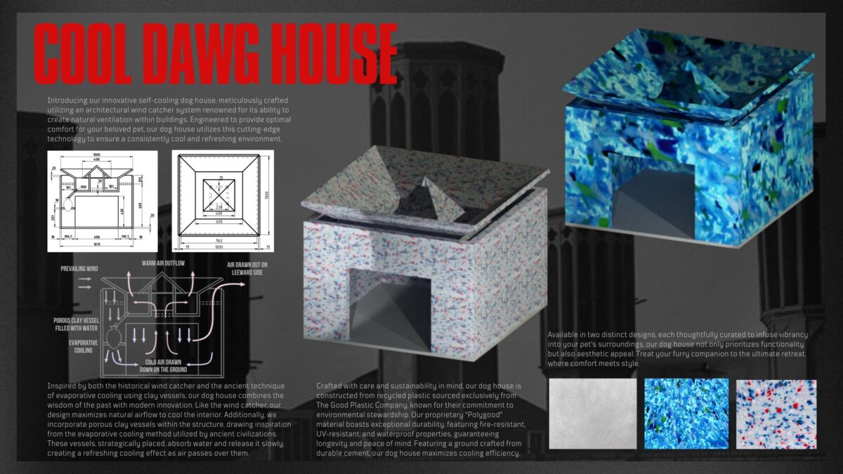 2024 – COOL DAWG HOUSE – Daylight and Architecture