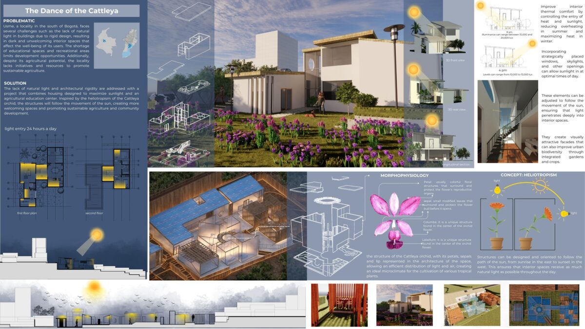 2024 – Danza de Cattleya – Daylight and Architecture